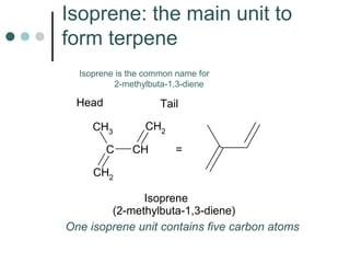 Terpenes (basics) | PPT