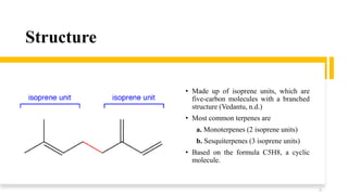 TERPENES.pptx