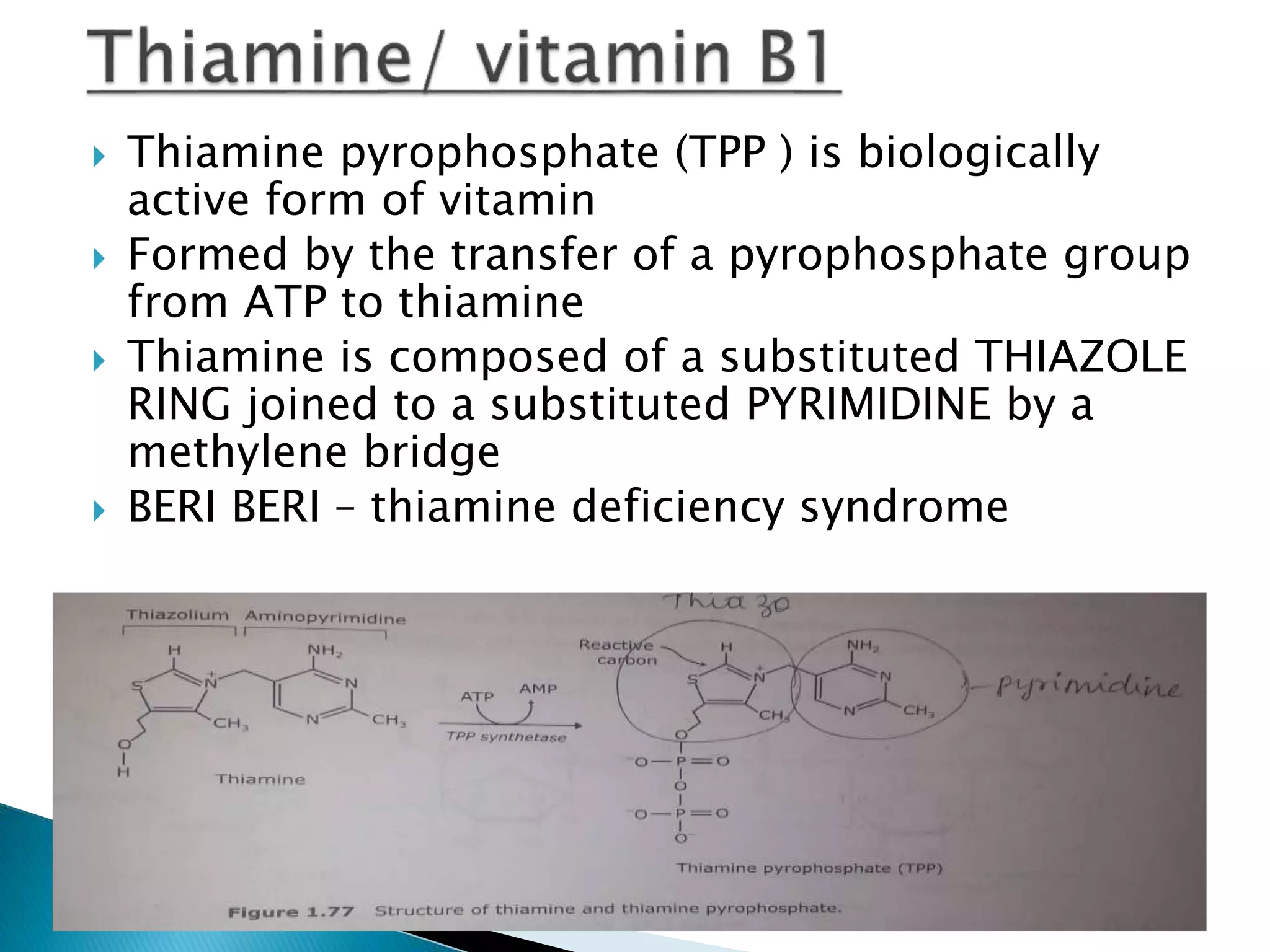 terpenes, alkaloids and vitamins.pptx