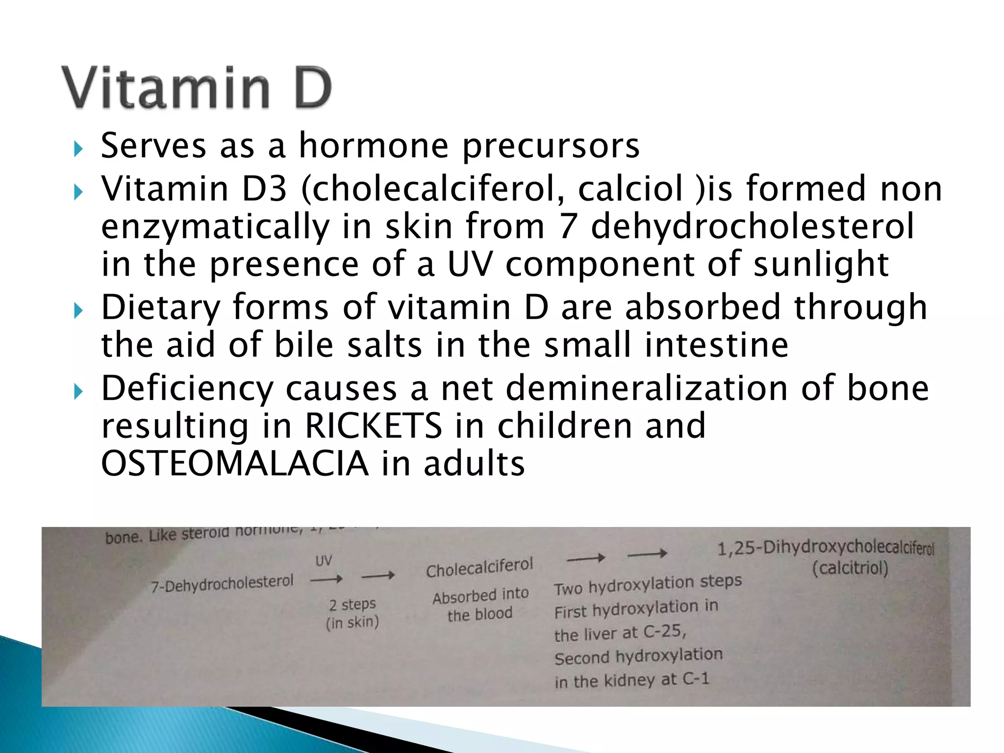 terpenes, alkaloids and vitamins.pptx