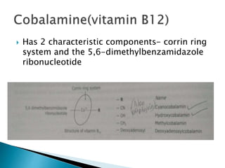 terpenes, alkaloids and vitamins.pptx
