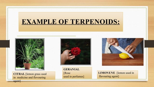 Terpenes And Terpenoids Final Cut Pptx Full Pptx