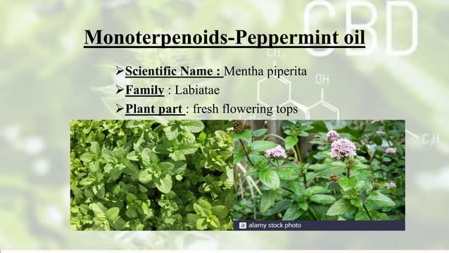 Terpenes & terpenoids | PPT