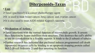 Terpenes & terpenoids | PPTX
