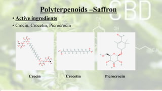 Terpenes & terpenoids | PPTX