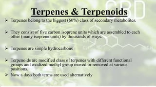 Terpenes & terpenoids | PPTX