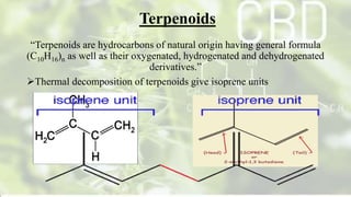 Terpenes & terpenoids | PPTX