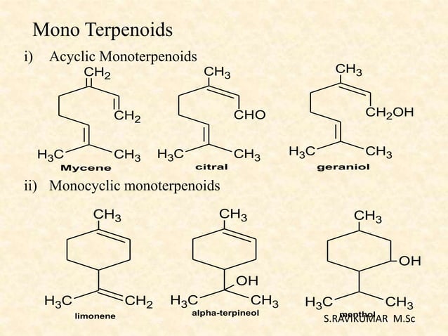 Terpenoids | PPTX | Gardening | Home & Garden