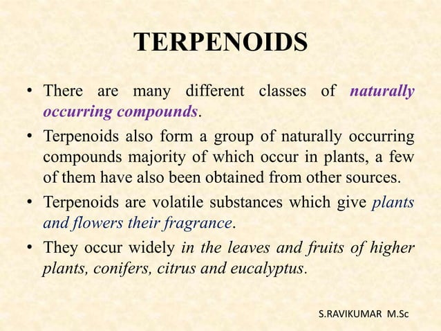 Terpenoids | PPTX | Gardening | Home & Garden
