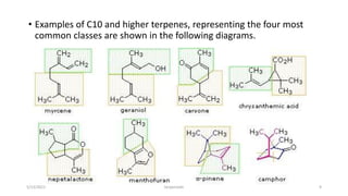 Terpenoids | PPTX | Chemistry | Science