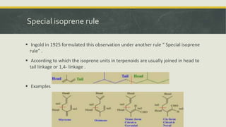 Terpenoids | PPTX