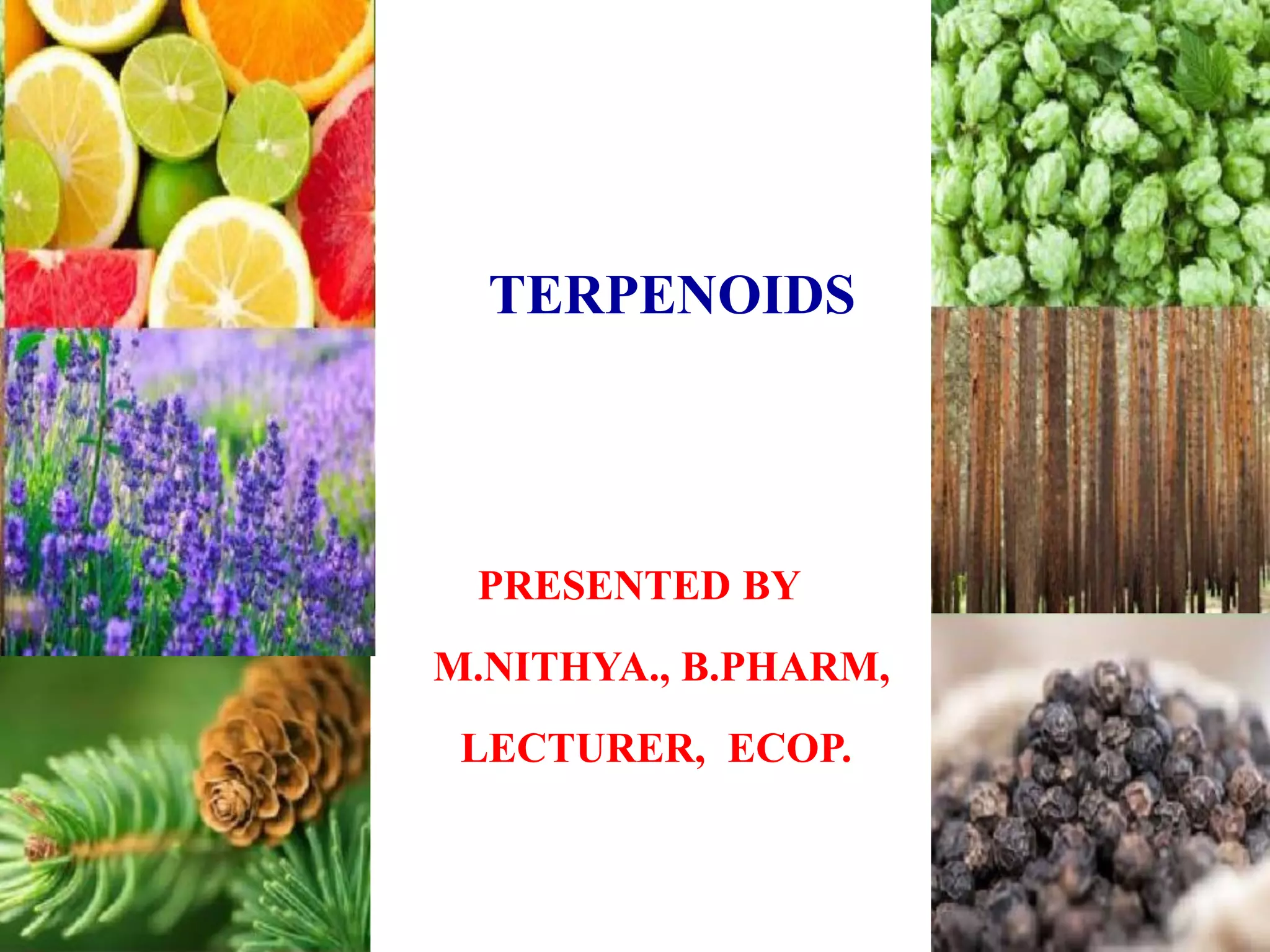 TERPENOIDS - I D.Pharm ER-20:13T | PDF