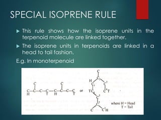Terpenoids.pdfjyfhcjvvhghcgffjfhfsghhfjfysg | PDF