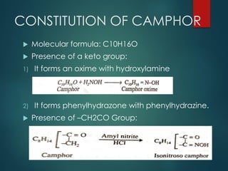 Terpenoids.pdfjyfhcjvvhghcgffjfhfsghhfjfysg | PDF