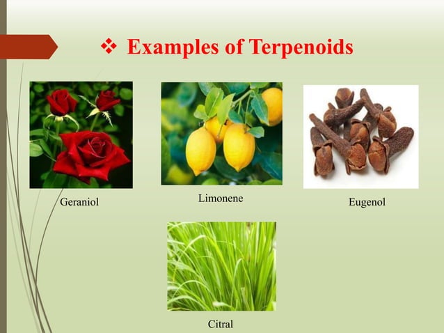 Terpenoids | PPT