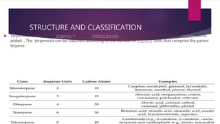 Terpenoids and methanol | PPT