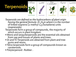 Terpenoids, carotenoids, vitamins and quassinoids | PPTX | Chemistry ...