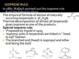 Terpenoids, carotenoids, vitamins and quassinoids | PPTX | Chemistry ...