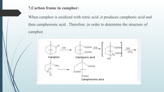 Structural Elucidation of Monoterpenoids | PPTX