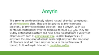 Terpenoids | PPTX | Science
