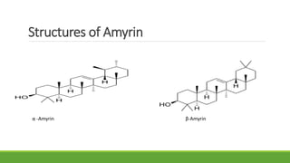 Terpenoids | PPTX | Science
