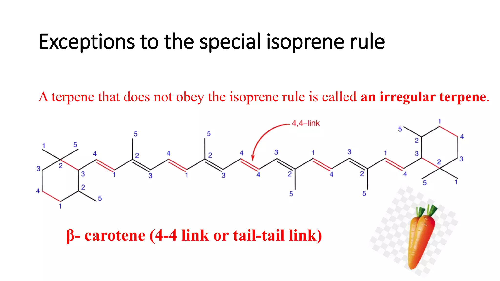 Terpenoids for slide presentation new 1.pptx