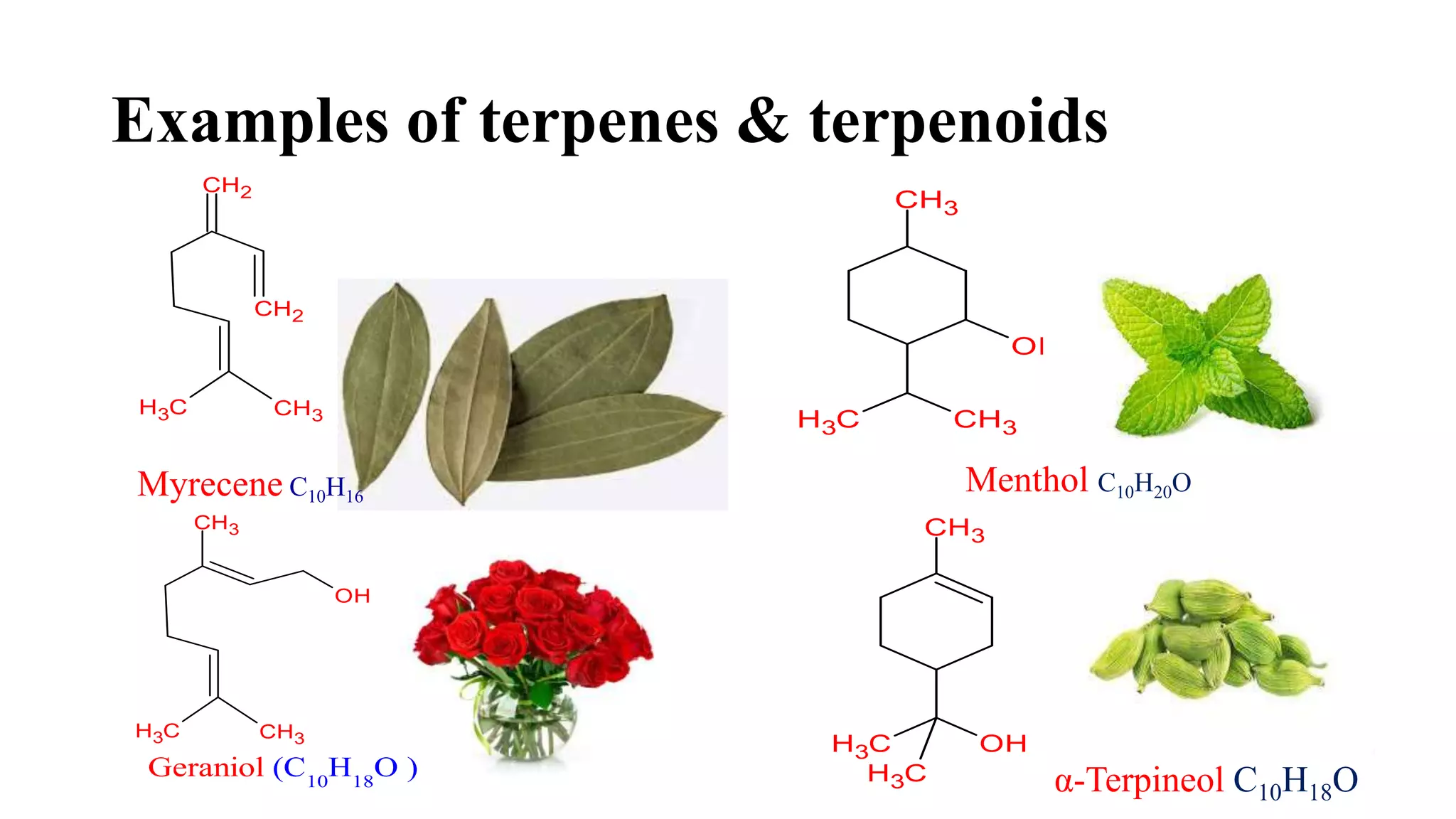 Terpenoids for slide presentation new 1.pptx