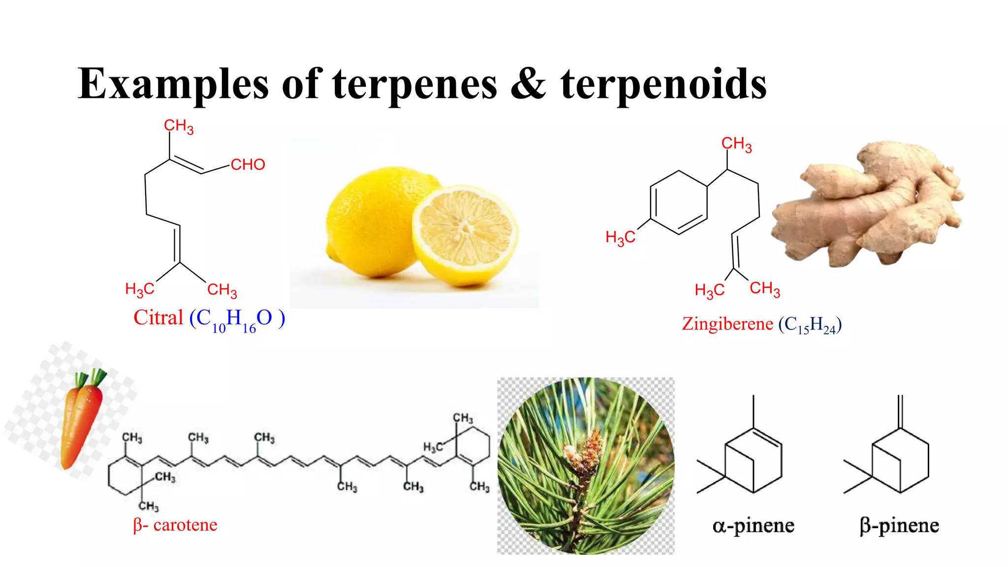 Terpenoids for slide presentation new 1.pptx