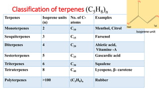 Terpenoids for slide presentation new 1.pptx