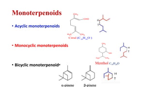 Terpenoids for slide presentation new 1.pptx