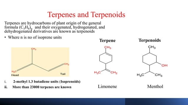 Terpenoids For Slide Presentation New 1 Pptx