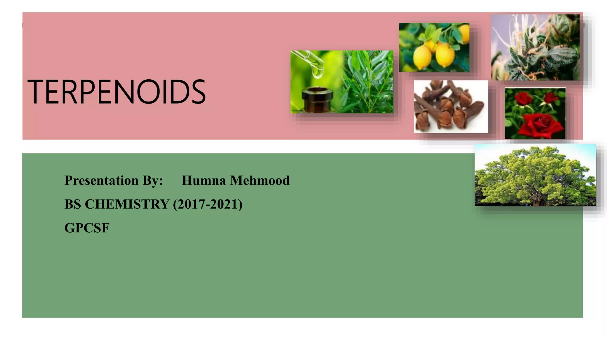 Terpenoids PPT. - Terpenes - Natural Products Chemistry | PPTX