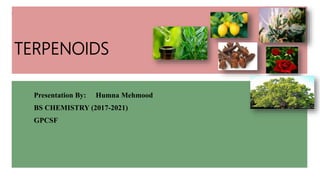 Terpenoids PPT. - Terpenes - Natural Products Chemistry | PPTX