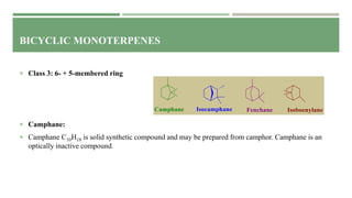 Terpenoids PPT. - Terpenes - Natural Products Chemistry | PPTX