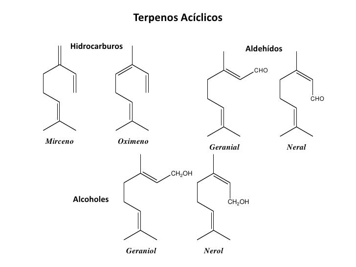 Terpenos