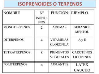 Terpenos | PPTX