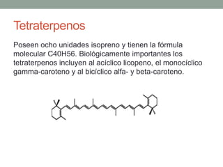 Terpenos | PPTX