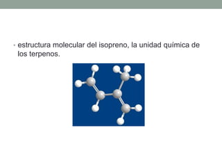 Terpenos | PPTX