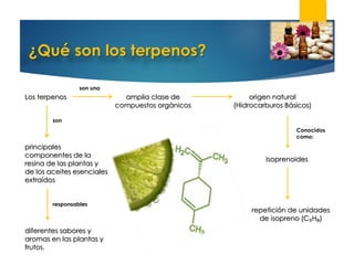 Terpenos y canela | PPTX