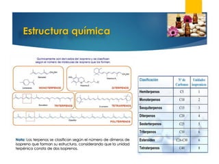 Terpenos y canela | PPTX