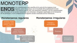 Terpenos y esteroides | PPTX