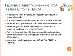 Terra (Telomeric repeat-containing RNA) | PPTX