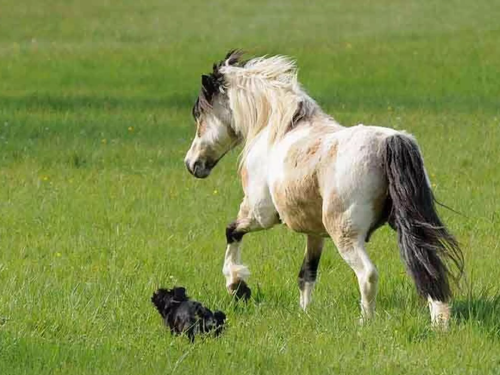 Terra 10. ildy | PPT