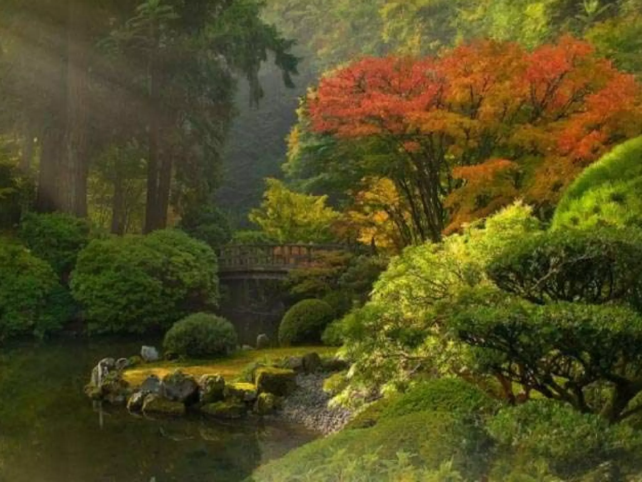 Terra 10. ildy | PPT