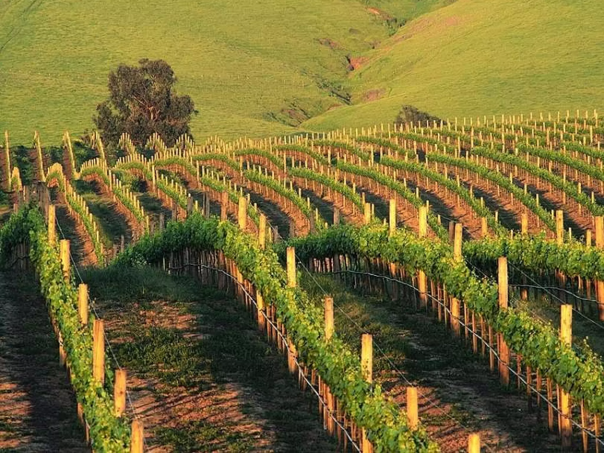 Terra 10. ildy | PPT