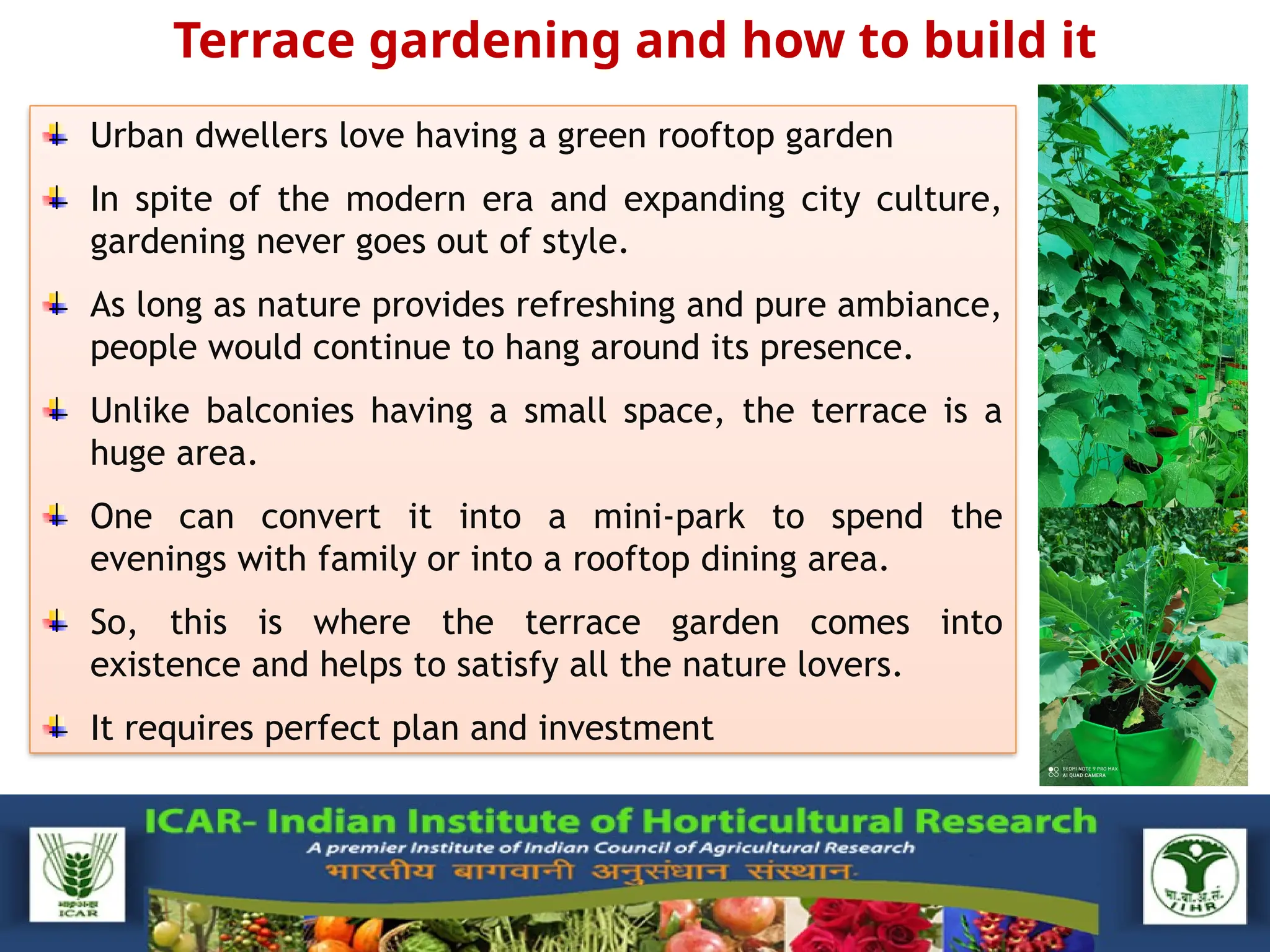 Terrace gardening_ you can doityourself.pptx