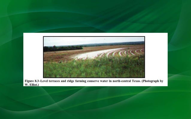 Terraces:Soil Water Conservation structure | PPTX | Landscaping | Home ...