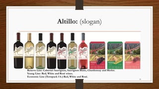 Terra chile presentation (english) | PDF