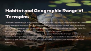 Taxonomic classification distribution and conservation of Terrapins.pdf