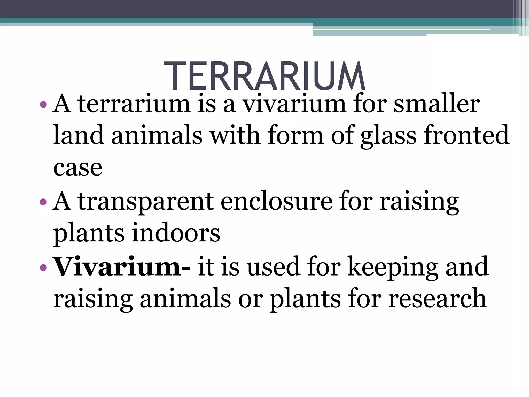Terrarium | PPTX